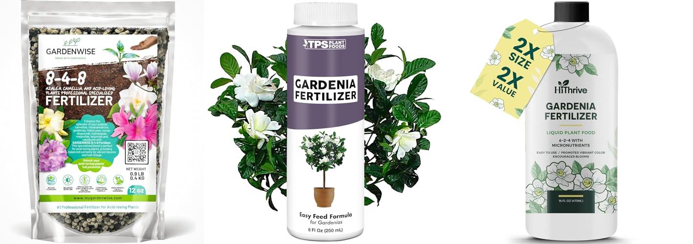 - Top 5 Fertilizers for Gardenia Bush: Buyer's Guide